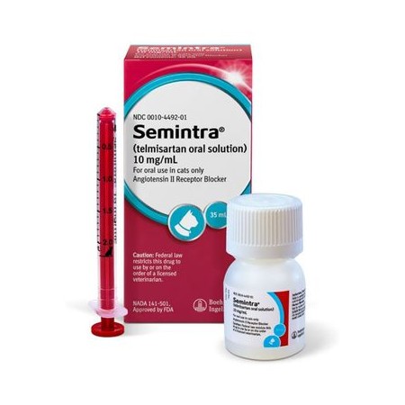 Semintra for Cats - Semintra Oral Solution for Hypertension in Cats