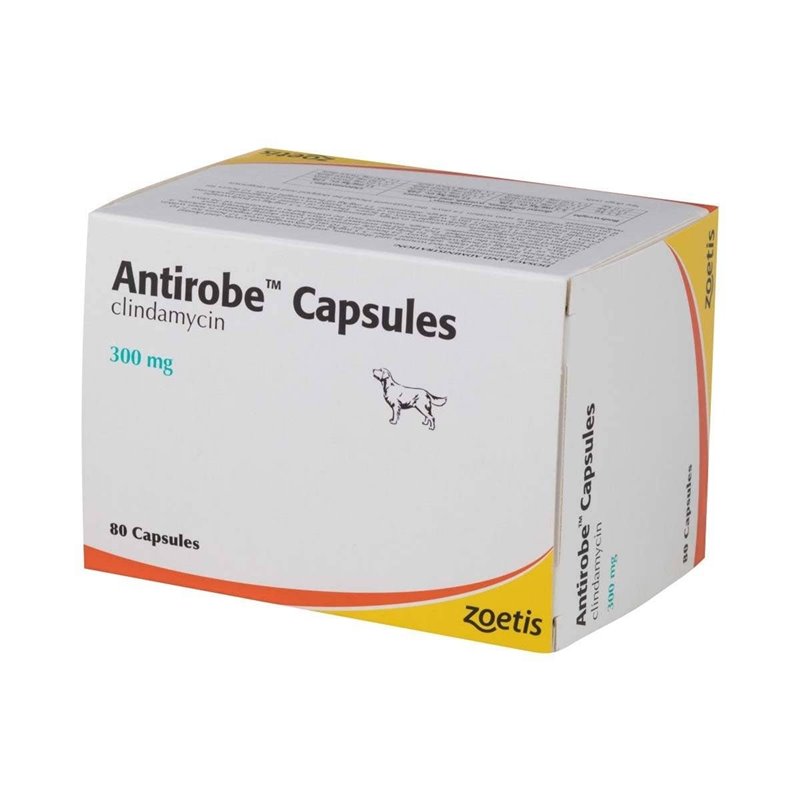 Antirobe Capsules for Cats & Dogs - 75mg, 150mg, 300mg Antirobe from ...