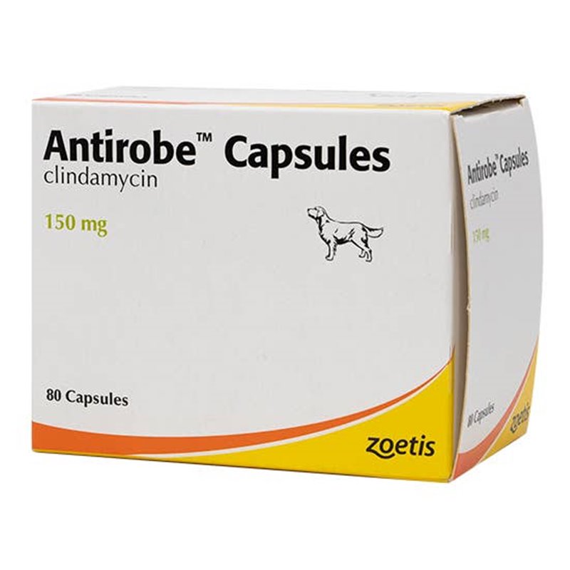 Antirobe Capsules for Cats & Dogs - 75mg, 150mg, 300mg Antirobe from ...