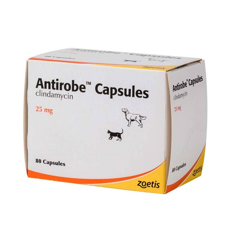 Antirobe Capsules for Cats & Dogs - 75mg, 150mg, 300mg Antirobe from ...