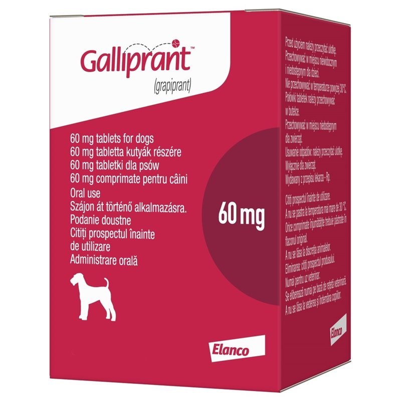 20mg Galliprant for Dogs | Osteoarthritis Pain Relief for Dogs