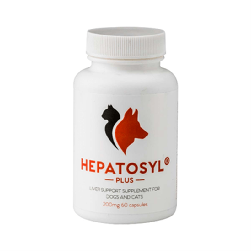 Hepatosyl Plus 200mg - 60 Capsules for Maintenance of Liver Function