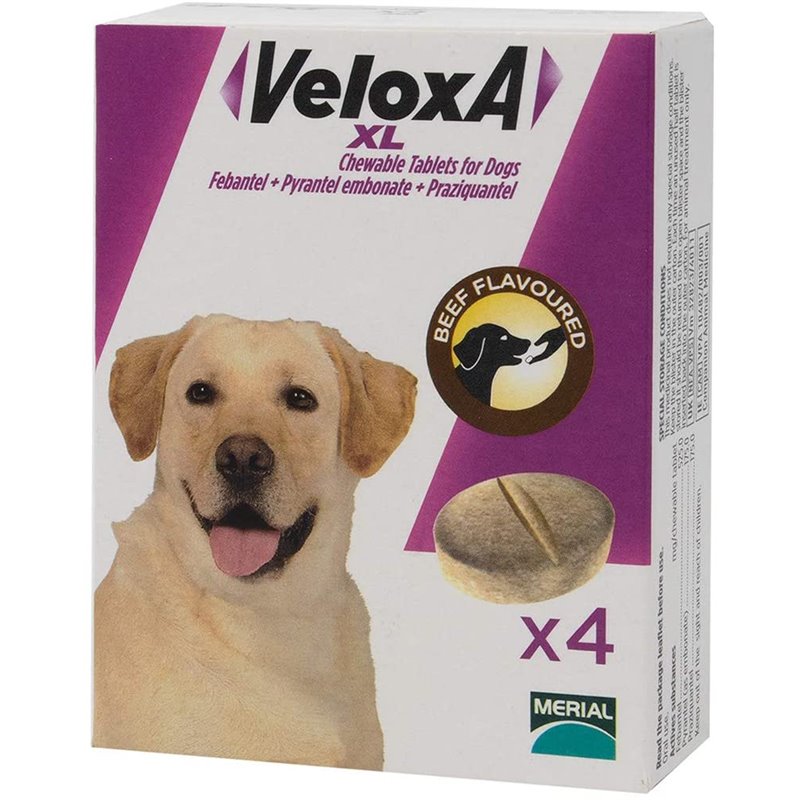 XL Veloxa Chewable Worming Tablets: Safe & Easy-to-Administer for Dogs