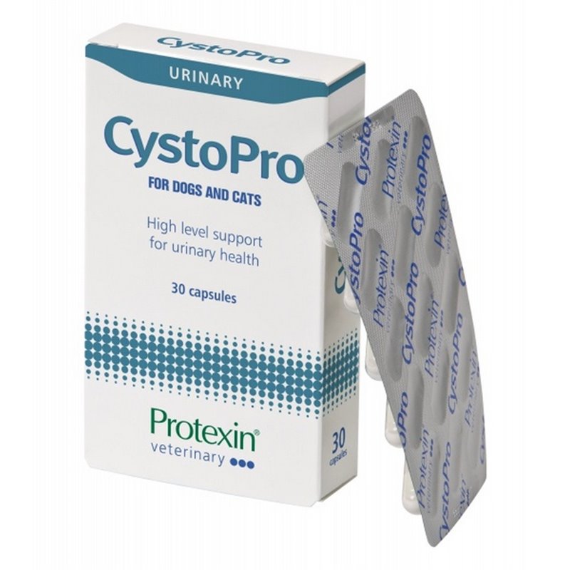 Pet Urinary Health with Cystopro for Cats and Dogs | Cystopro Capsules