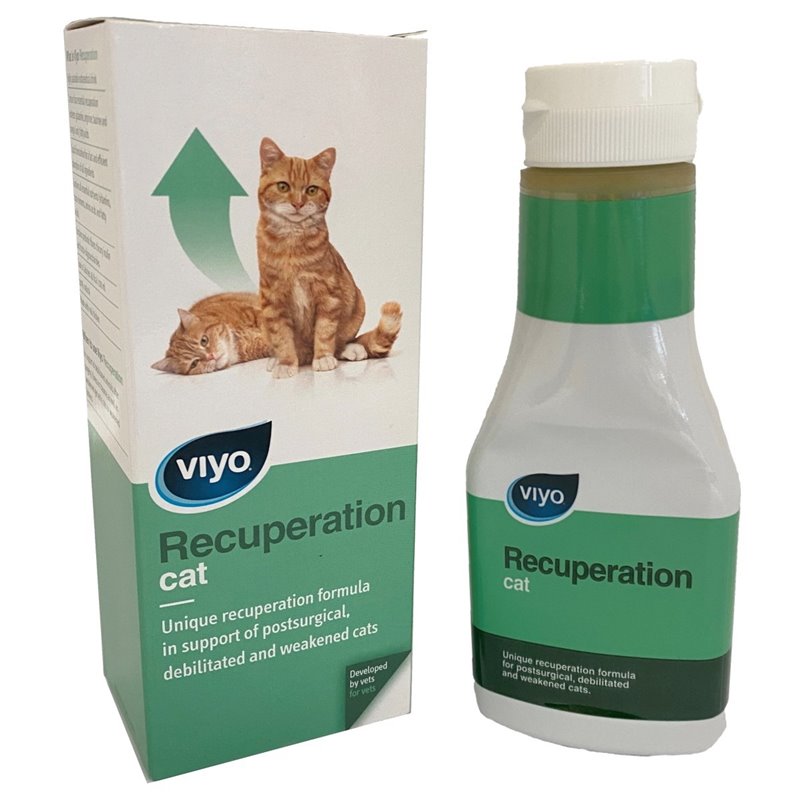 Viyo Recuperation for Cats - Viyo Support for Cats in times of stress