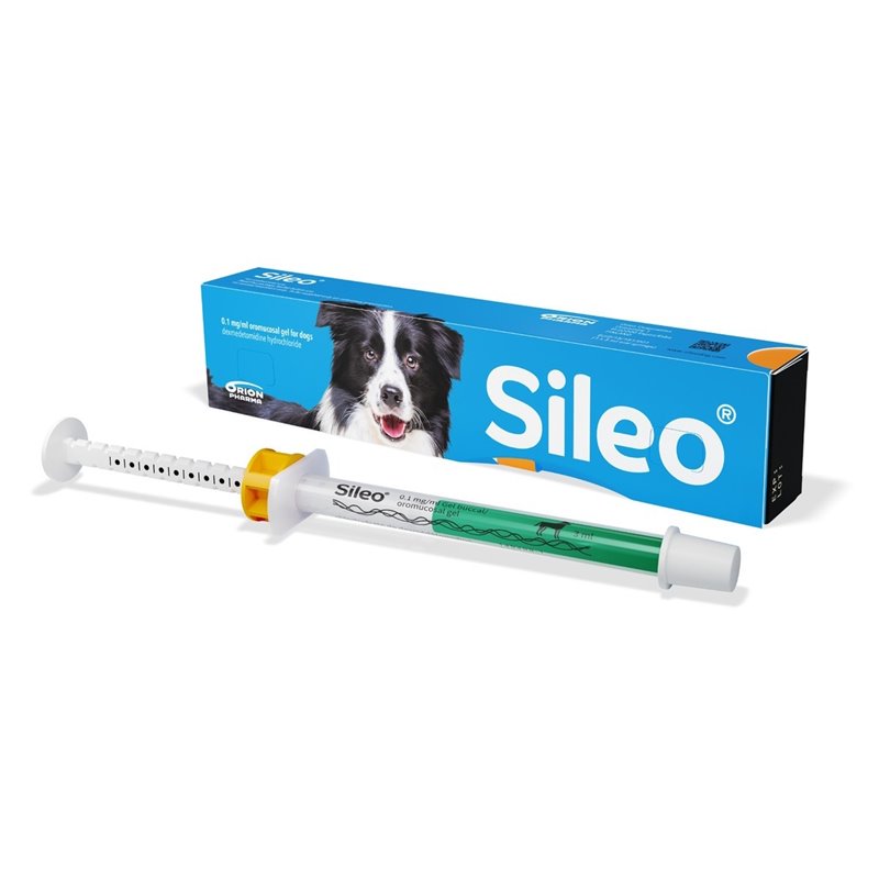 Sileo for Dogs | Noise Phobia Relief for Anxious Dogs | Sileo Gel