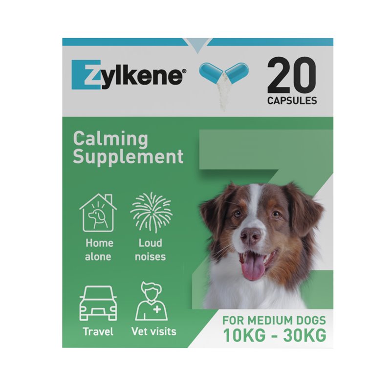 225mg Zylkene for Dogs | Natural Behavioural Support for Anxiety Relief