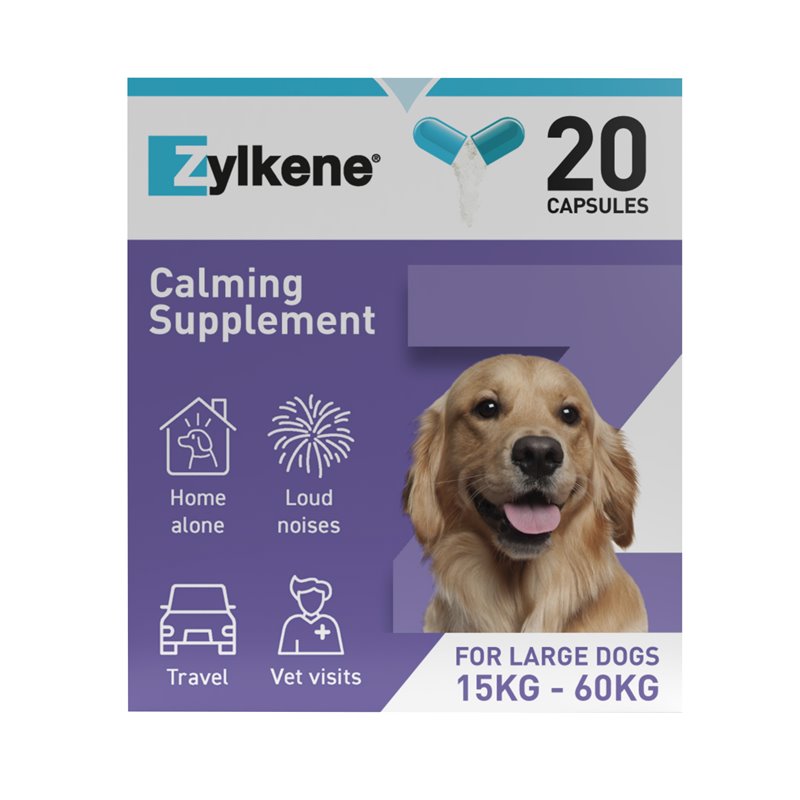 Zylkene 450mg for Dogs | Natural Behaviour Support for Large Dogs