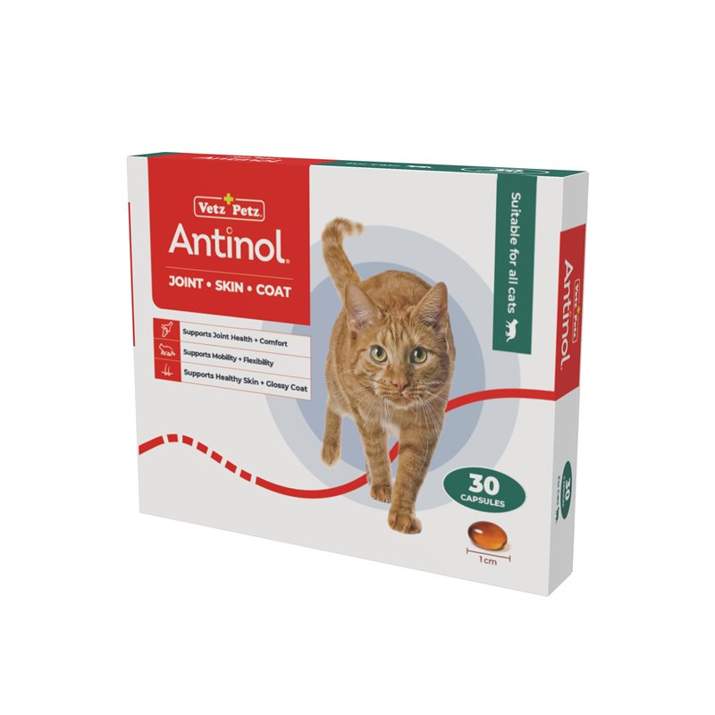 Antinol Joint Care Capsules for Cats | Natural Support for Joints