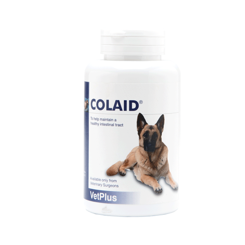 Colaid Digestion Support Capsules for Dogs | Gut Health Supplement