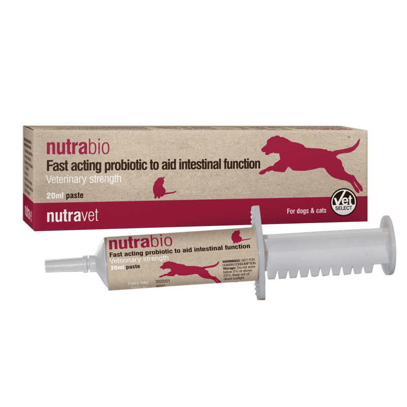 Nutrabio Paste for Dogs & Cats – Probiotic Digestive Support