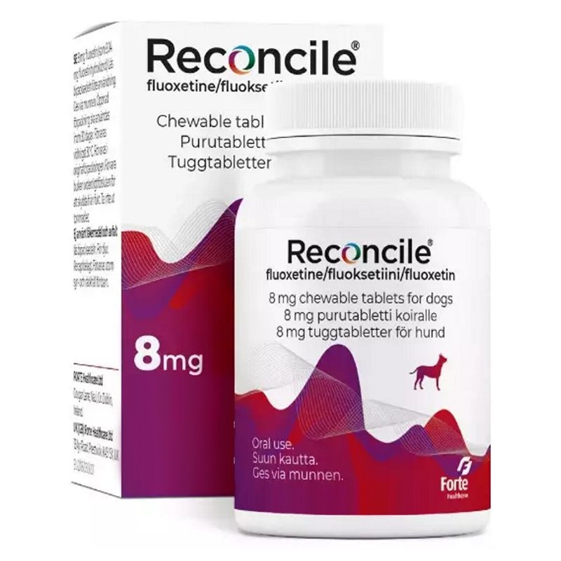 Reconcile for Dogs | Medication for Treating Separation Anxiety in Dogs
