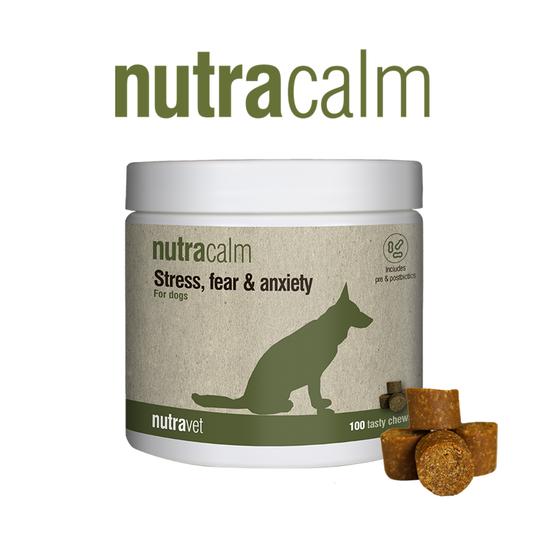 Nutravet Nutracalm for Dogs – Natural Support for Stress & Anxiety Relief