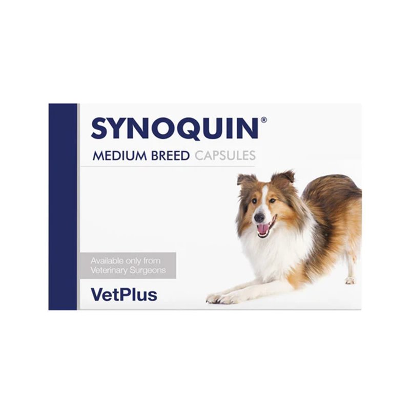 Synoquin EFA Capsules Medium Breed Dogs | Joint Support for Dogs